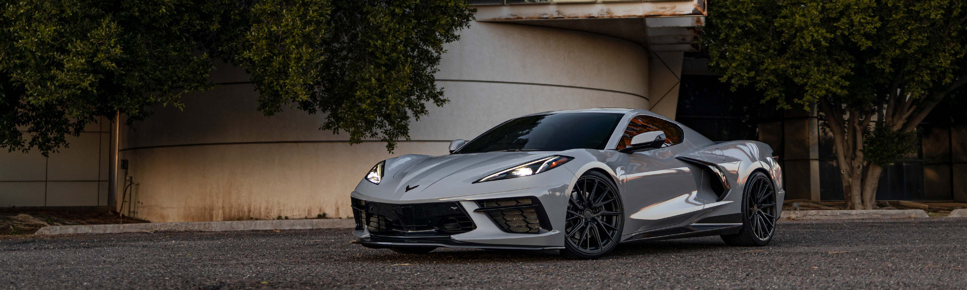 C8 Corvette Carbon Fiber Body Kits by Racing Sport Concepts
